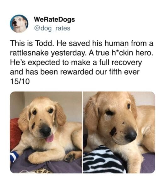 40 Positive Memes That Will Instantly Make You Feel Better About Life