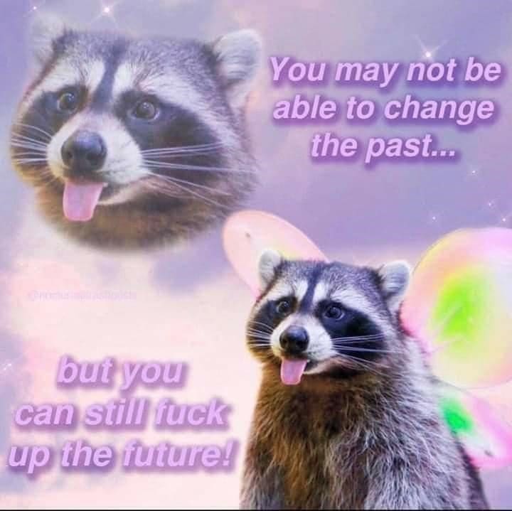 raccoon memes-25-2-20-2024 - Thunder Dungeon | The Funniest Memes. Period.
