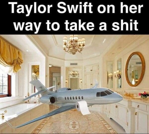 Taylor Swift Private Jet Memes - The 21 Best So Far