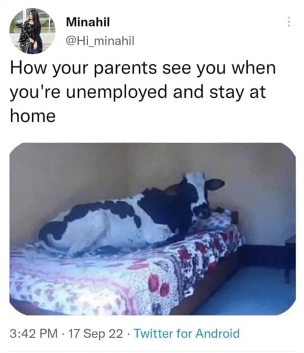 40 Unemployment Memes That Won’t Help You in Your Job Search