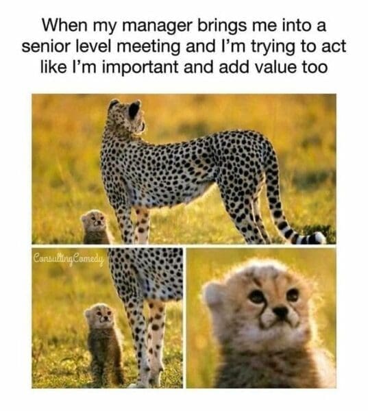 40 Workplace Memes to Help You Survive in Your Tiny Cubicle