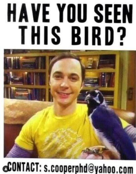 40 Big Bang Theory Memes for the Bazinga Bros