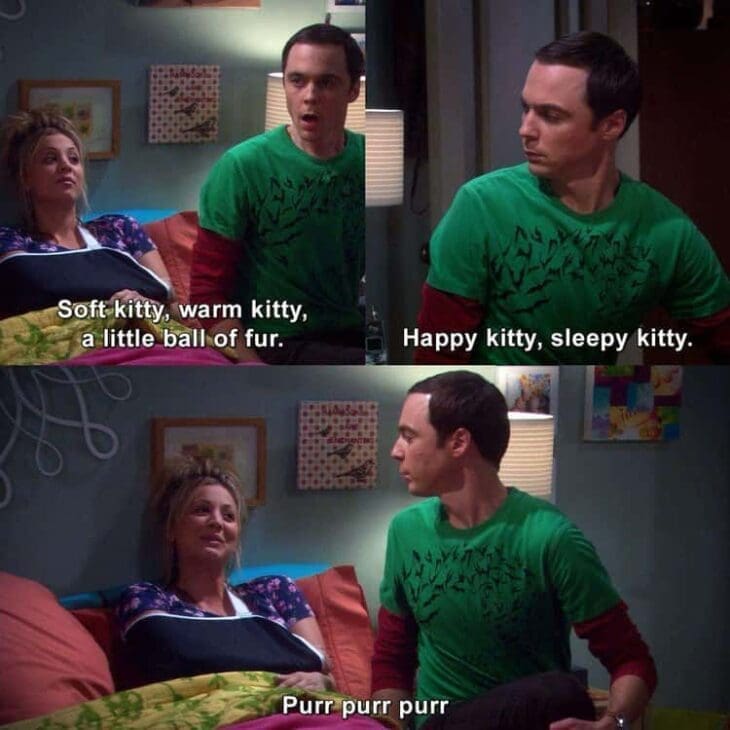 40 Big Bang Theory Memes for the Bazinga Bros