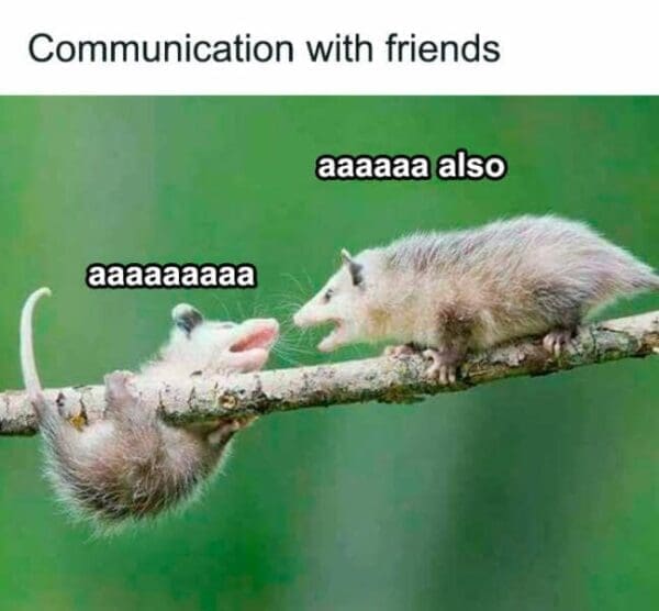 Is Your Brain Box Normal? 40 Brain Memes For The Tangent Inclined Minds