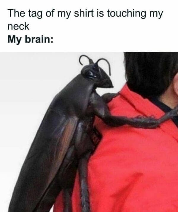 Is Your Brain Box Normal? 40 Brain Memes For The Tangent Inclined Minds
