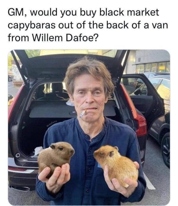 Capybara Memes: 39 Memes From The Friendliest Rodent
