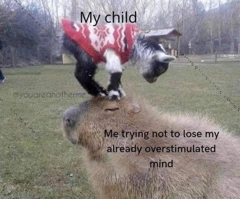 Capybara Memes: 39 Memes From The Friendliest Rodent