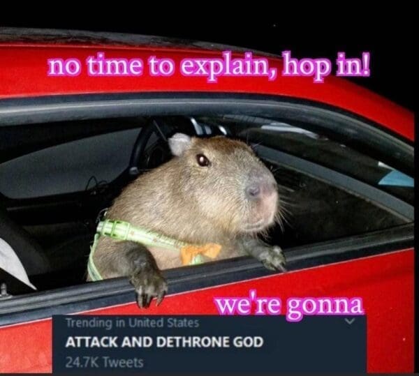 Capybara Memes: 39 Memes From The Friendliest Rodent