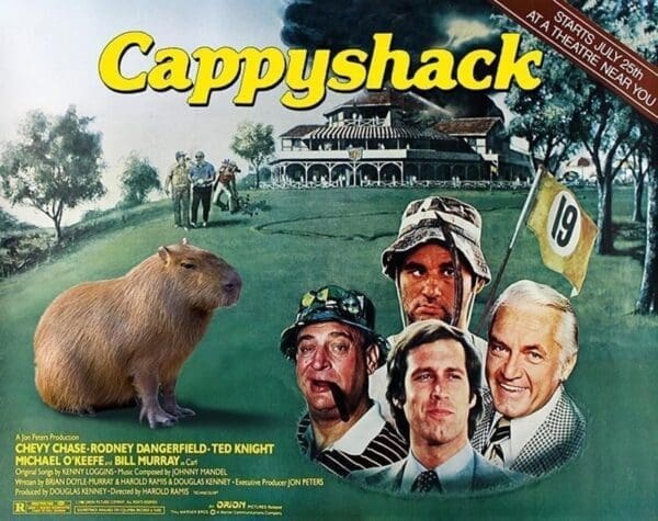 Capybara Memes: 39 Memes From The Friendliest Rodent