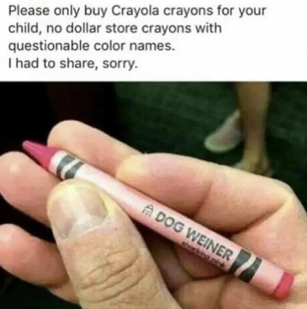 Dollar Tree Memes: 29 Memes To Honour The Store Closures