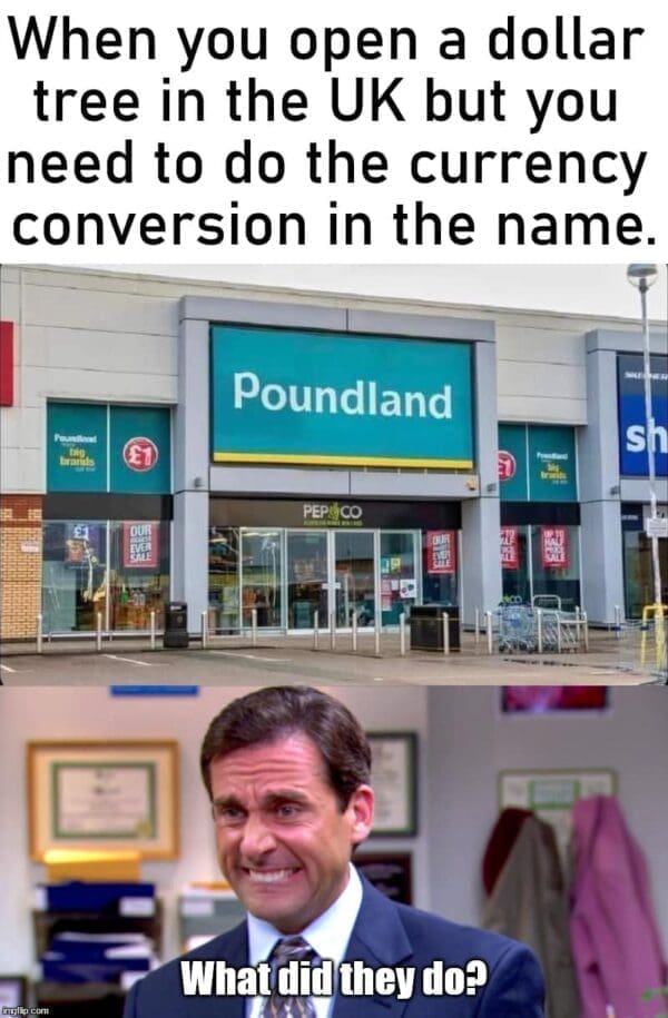 Dollar Tree Memes: 29 Memes To Honour The Store Closures
