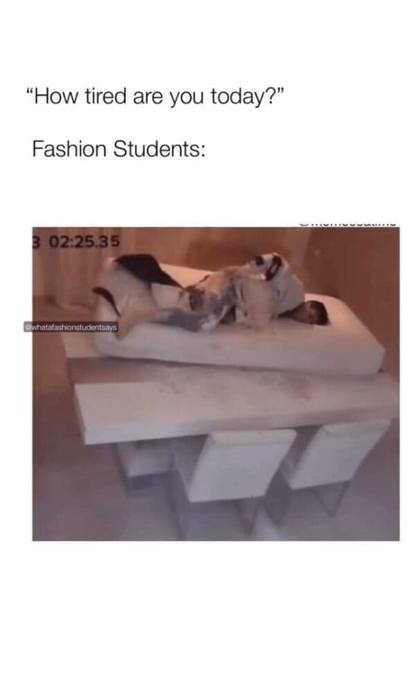 30 Fashion Memes That Are To Haute To Handle