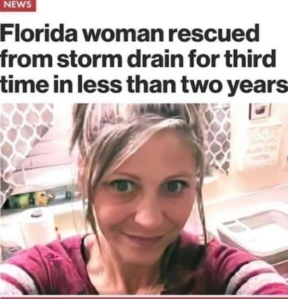 22 Hilariously Absurd Florida Woman Headlines: A Dive into Sunshine ...
