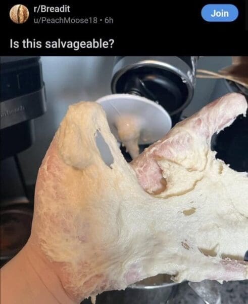 40 Of The Funniest Reddit Posts That Deserve A Spot In The Hall Of Fame