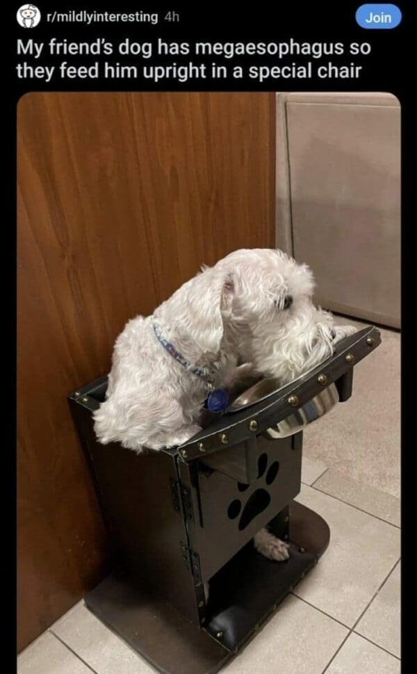 40 Of The Funniest Reddit Posts That Deserve A Spot In The Hall Of Fame
