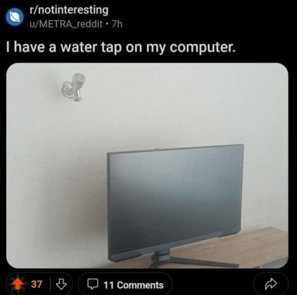 40 Of The Funniest Reddit Posts That Deserve A Spot In The Hall Of Fame