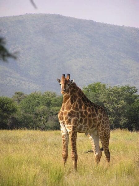 30 Funny Photoshopped Pictures That Are Incredibly Hard To Believe ...