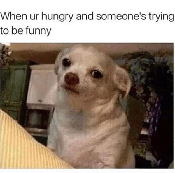 36 Hungry Memes That Perfectly Capture the Stages of Hunger-Induced Hangry-ness