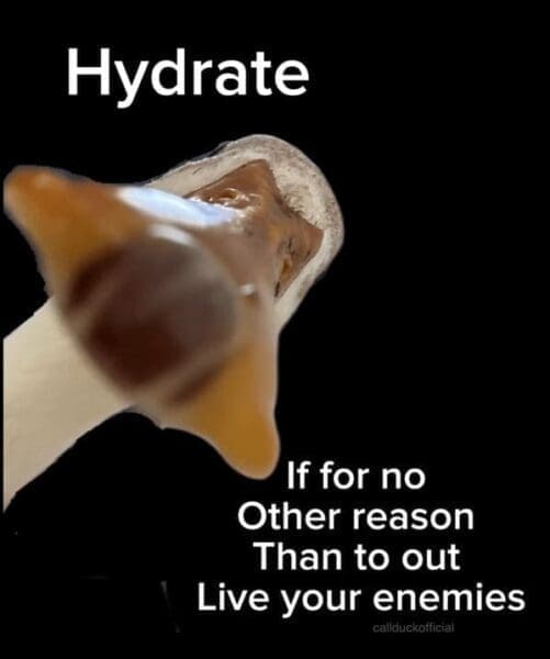 H2Flow: 32 Hydration Memes That Remind Us We Should Probably Drink Some ...