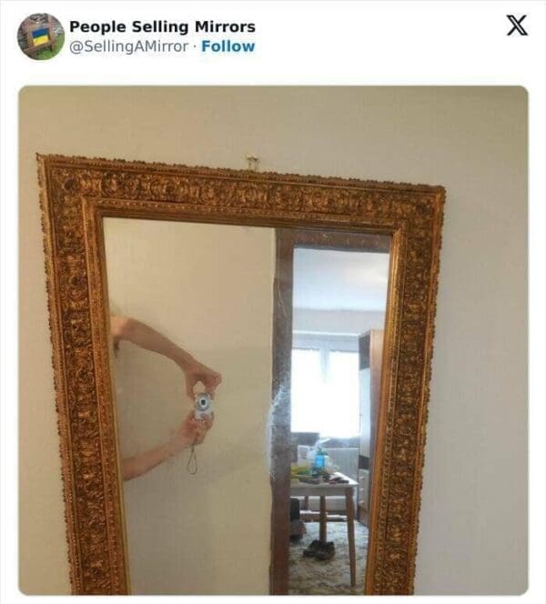 People Selling Mirrors: 20 Hilariously Valiant Attempts