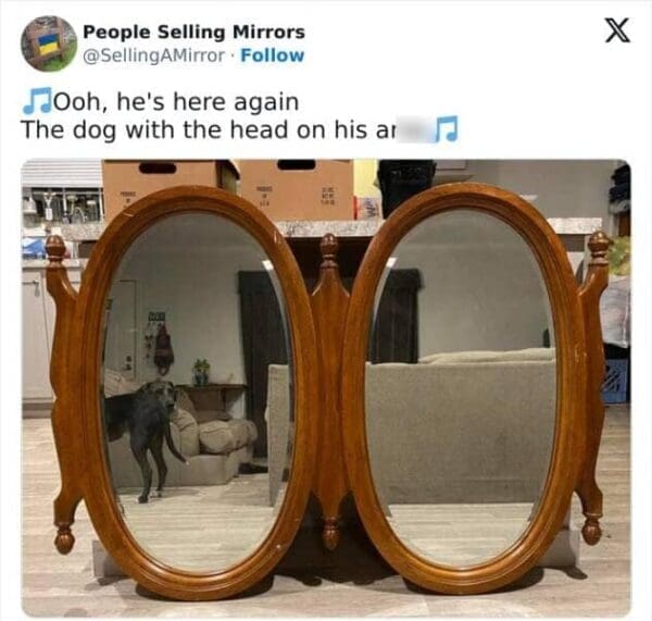 People Selling Mirrors: 20 Hilariously Valiant Attempts