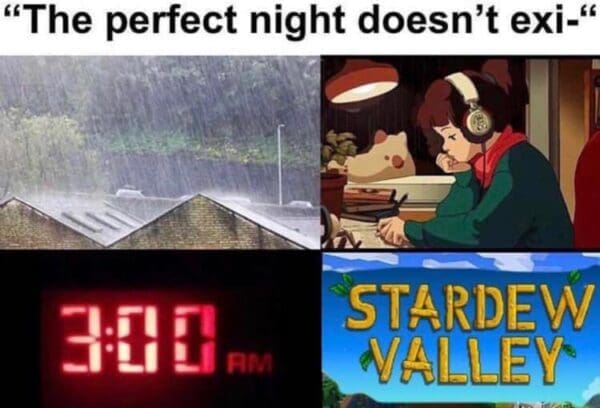 Stardew Valley Memes: 40 Memes For The 1.6 Game Update