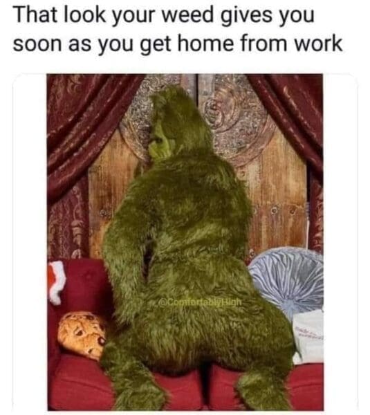 420 Memes: 40 Of The Dankest Memes For The Stoners