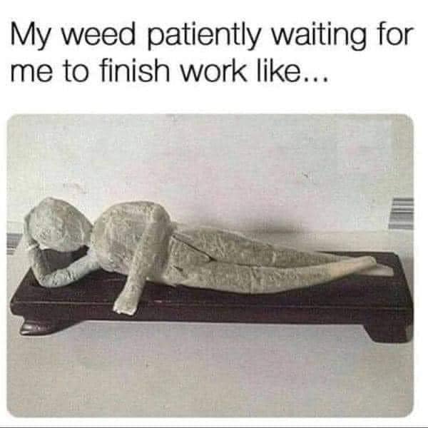 420 Memes: 40 Of The Dankest Memes For The Stoners