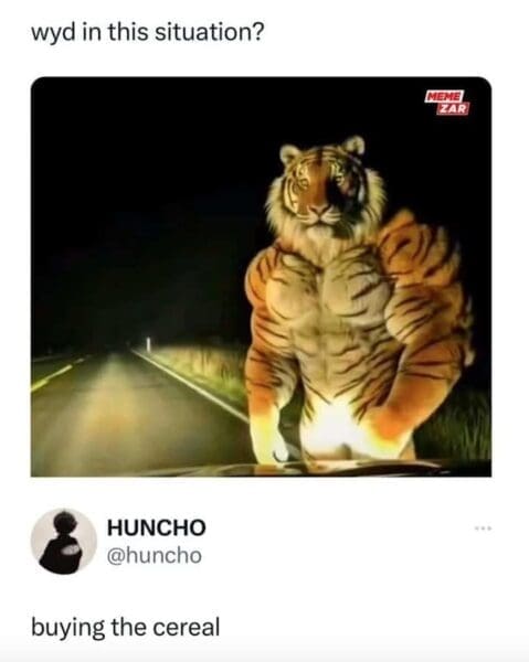 Tiger Memes: 19 Memes Where the Stripes Meet Sarcasm