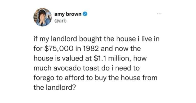Avocado Memes: 35 Memes You Can Spread on Pricey Toast