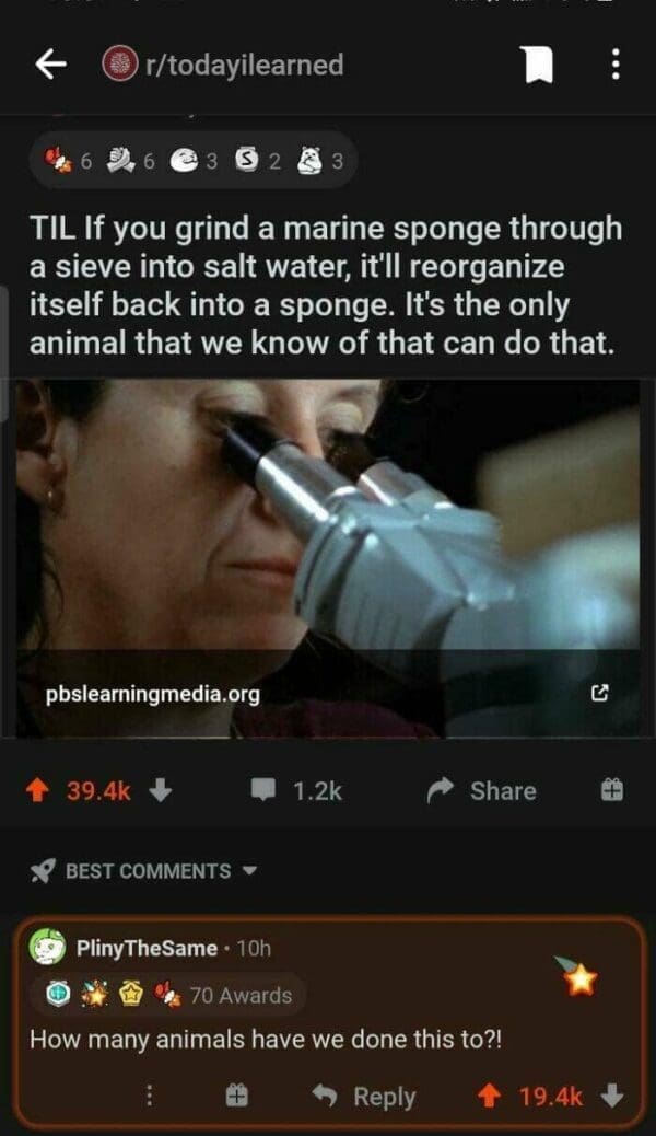 40 Cursed Comments: Prepare to Unsee Everything You Thought You Knew ...