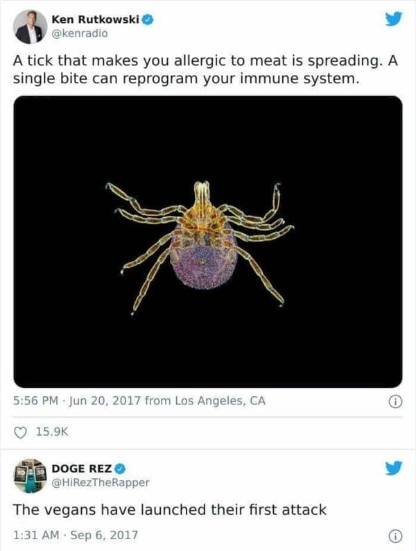 40 Cursed Comments: Prepare to Unsee Everything You Thought You Knew ...