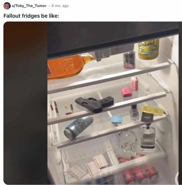 Fallout Memes: 30 Memes About The Show and Games