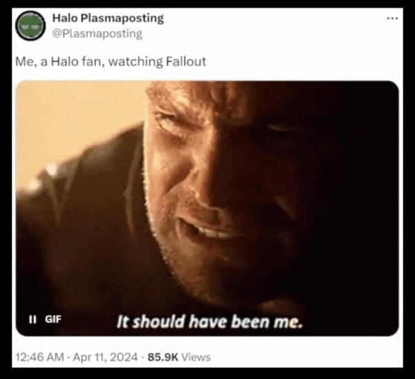 Fallout Memes: 30 Memes About The Show and Games