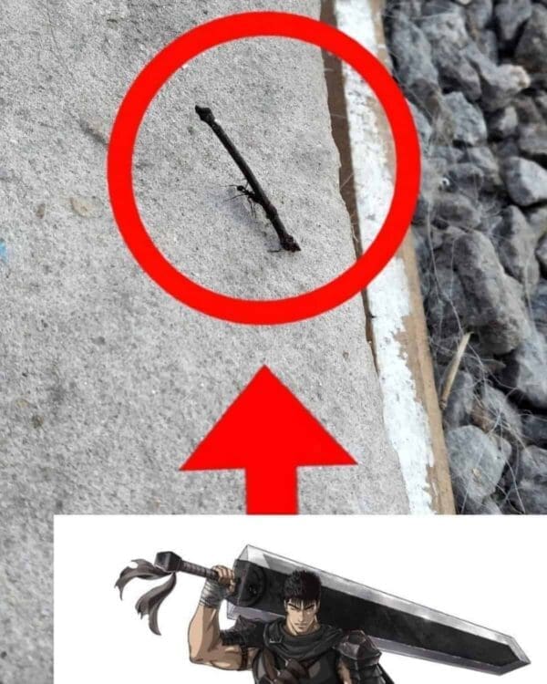 36 Photos That Go Hard and Will Make You Want to Run Through a Brick Wall