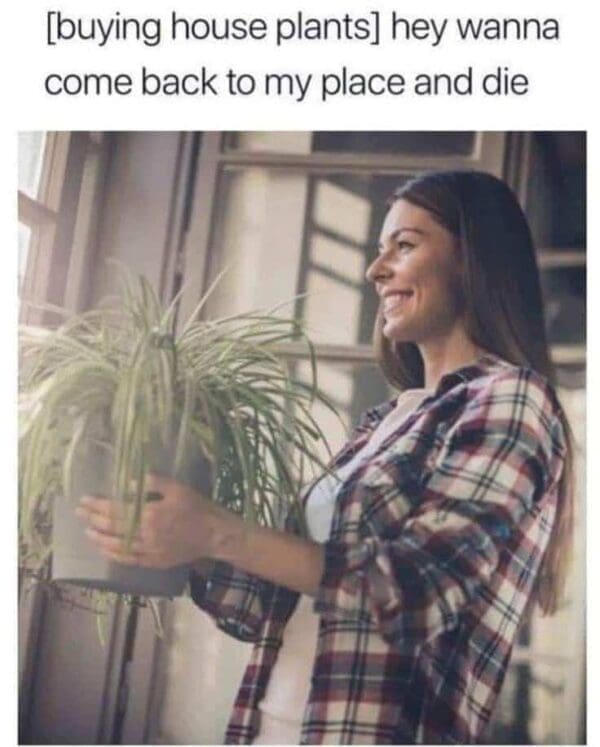 Is My Plant Dead? Probably. 36 Plant Memes That Will Make Every Plant ...