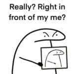 Really Right In Front of My Memes: 30 Bizarre Niche Memes