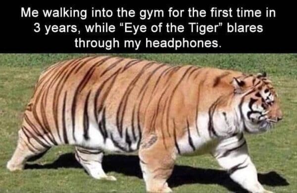 Tiger Memes: 19 Memes Where the Stripes Meet Sarcasm