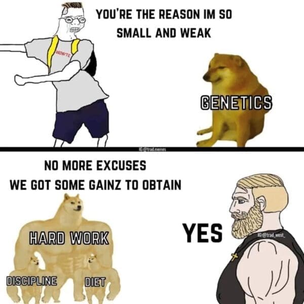 Sweat, Tears, and Sarcasm: 40 Workout Memes to Fuel Your Fitness Journey