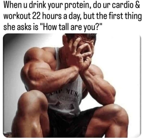 Sweat, Tears, and Sarcasm: 40 Workout Memes to Fuel Your Fitness Journey