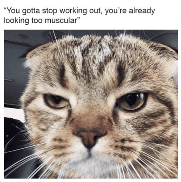 Sweat, Tears, and Sarcasm: 40 Workout Memes to Fuel Your Fitness Journey