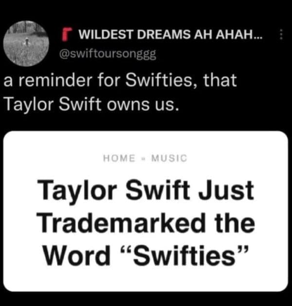 Taylor Swift Memes: 48 Funny Memes For The Swifties