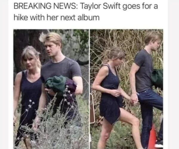 Taylor Swift Memes: 48 Funny Memes For The Swifties