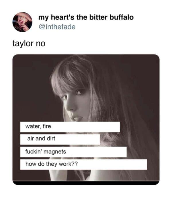 Taylor Swift Memes: 48 Funny Memes For The Swifties