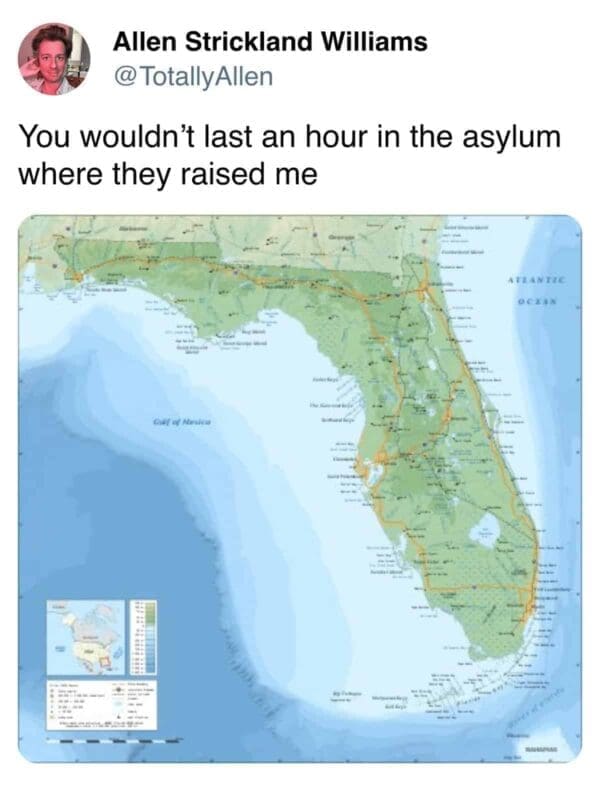 Taylor Swift Memes: 48 Funny Memes For The Swifties