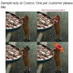 40 Costco Memes: Proof You Love the Bulk Life (Even If Your Wallet Doesn't)
