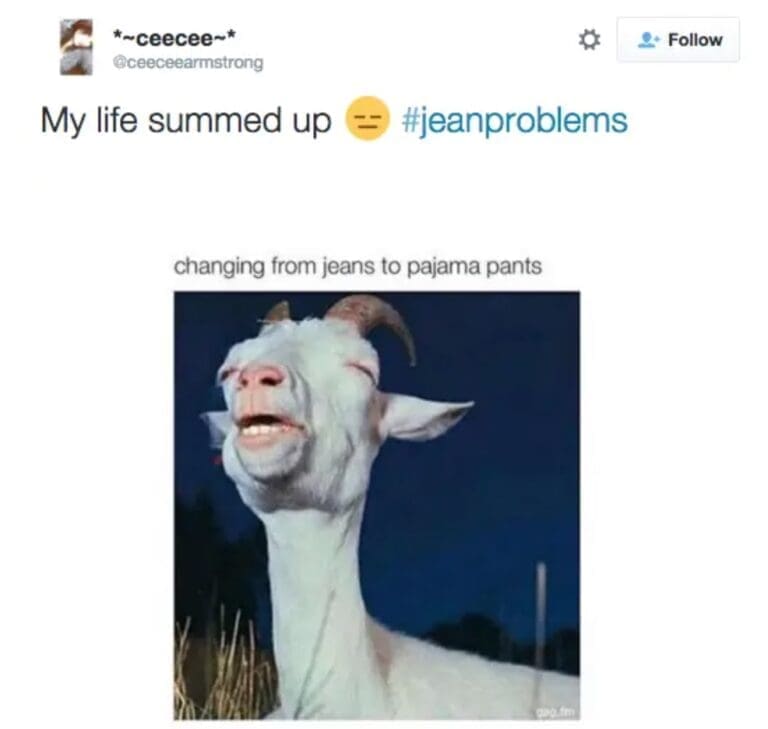Denim Memes: 20 Lols about Jeans and Jorts
