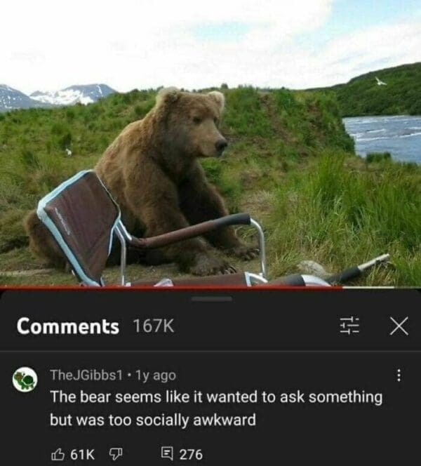 24 of the Funniest Youtube Comments That Prove Commenters Are the ...