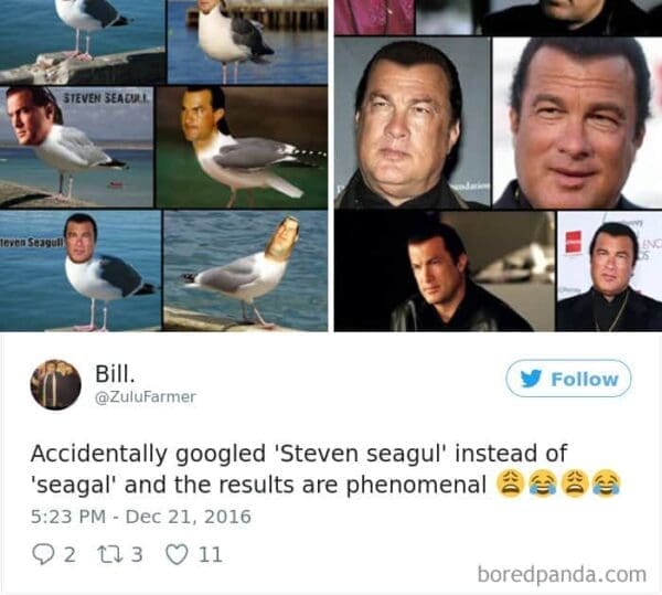 45 Glorious Accidental Google Search Fails That Led to Unexpected ...