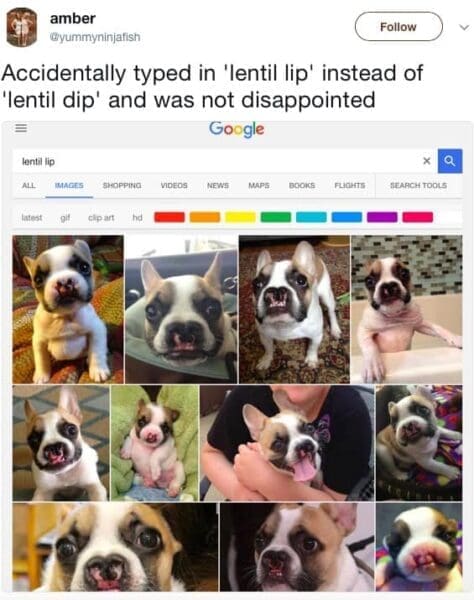 45 Glorious Accidental Google Search Fails That Led to Unexpected ...